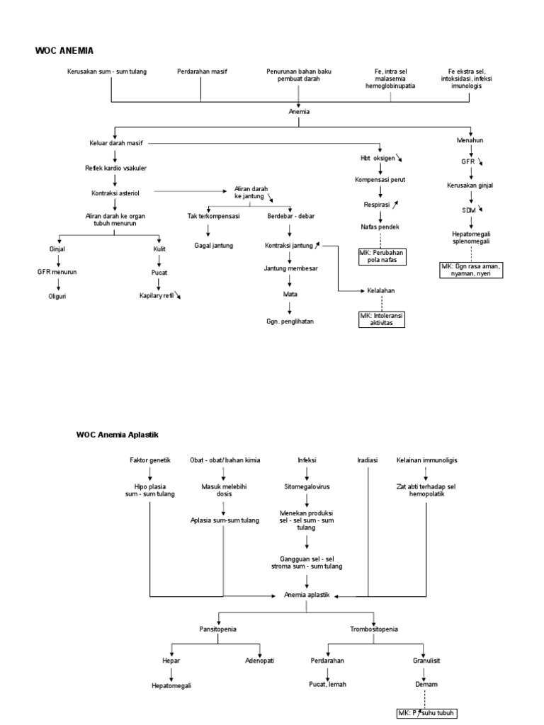 WOC - Anemia Aplastik