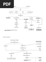 Pathways Asma Bronkial | PDF