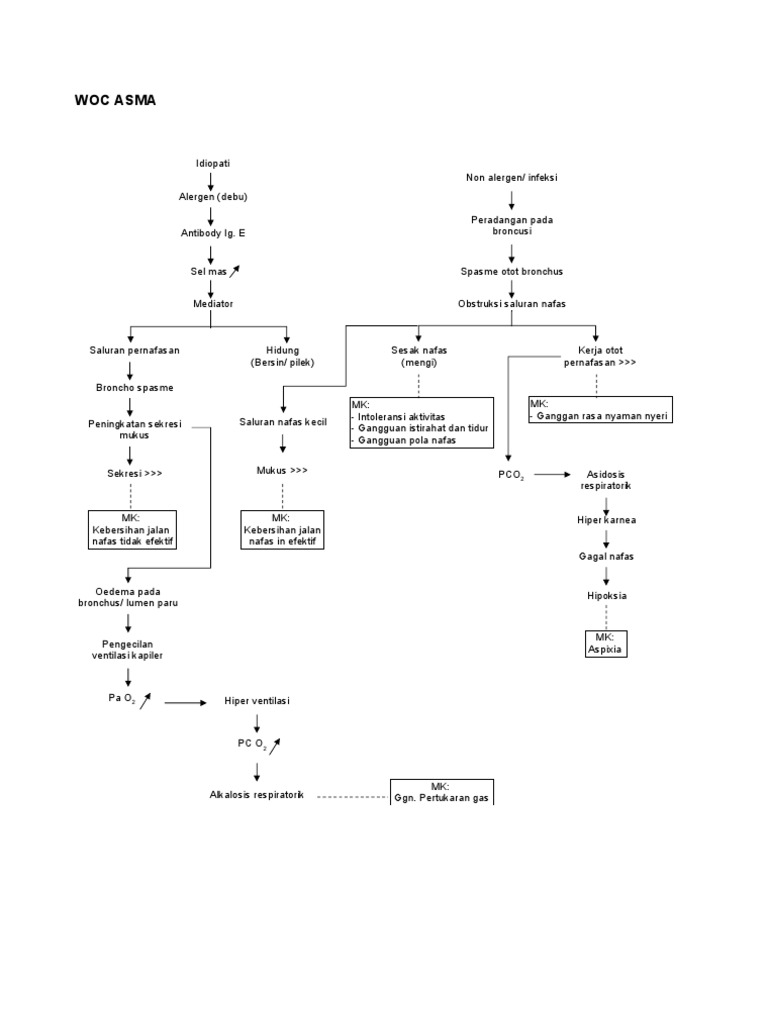 Gejala Dan Dampak Asma Bronkial Pdf