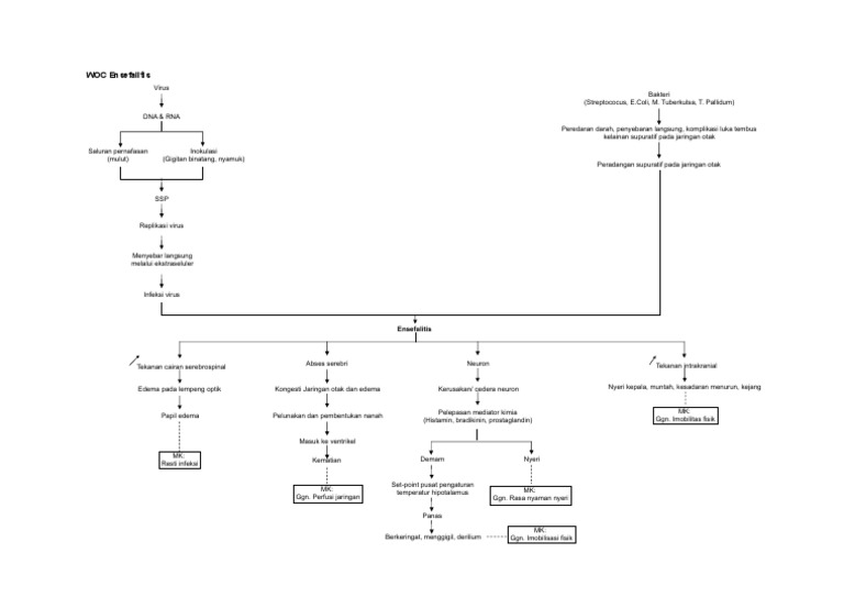 WOC - Ensefalitis | PDF