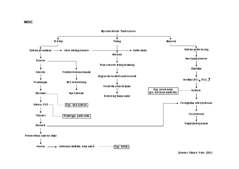 WOC - Tuberculosis | PDF