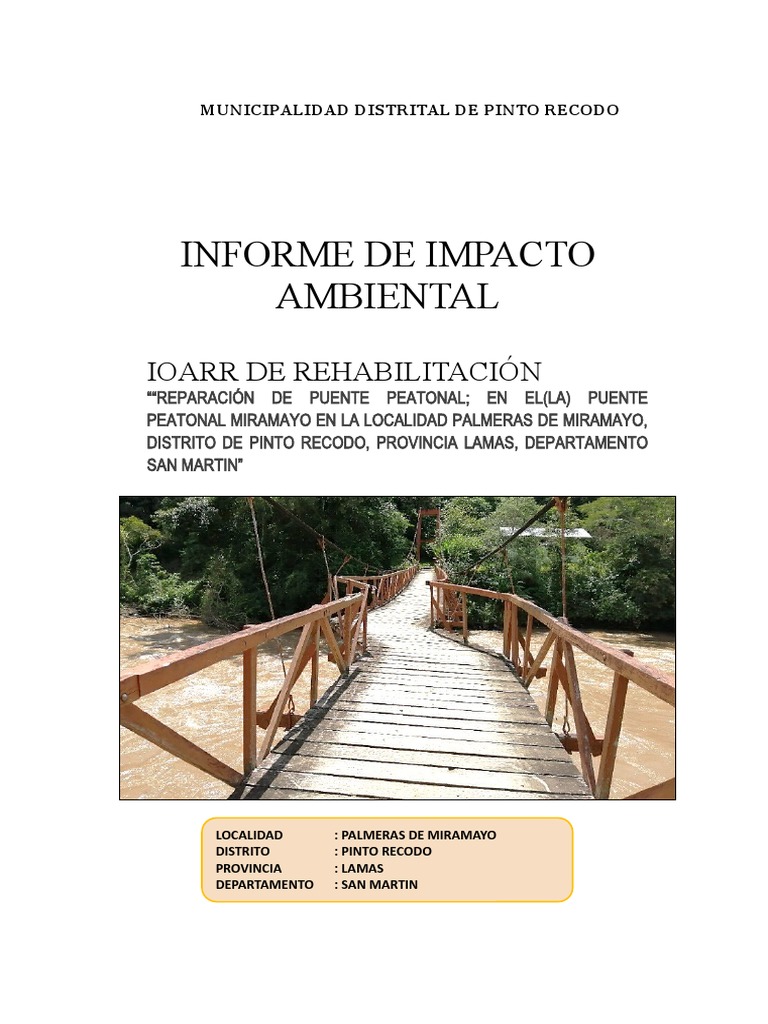 Informe de Impacto Ambiental | PDF | Residuos | Los bosques