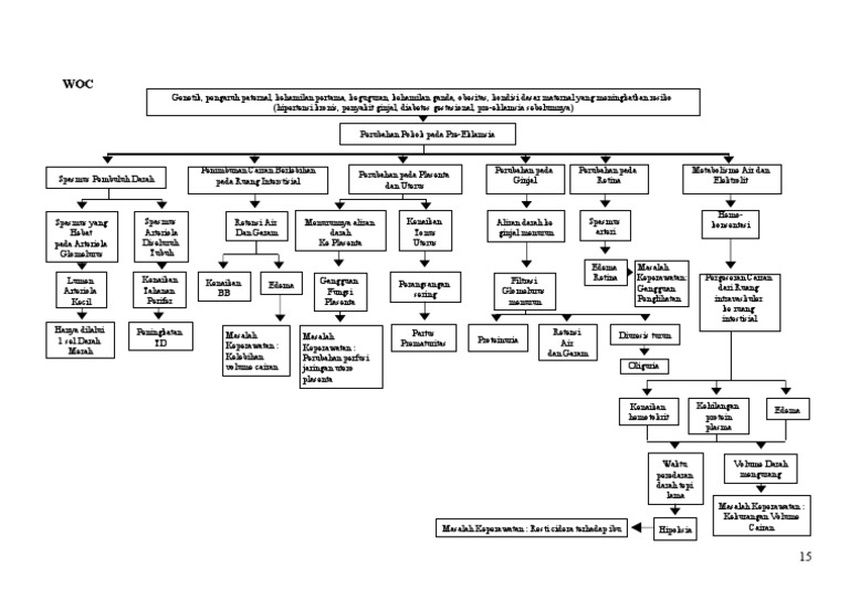 WOC Pre Eklamsia | PDF | Memasak, Makanan, & Anggur | Kesehatan Holistik