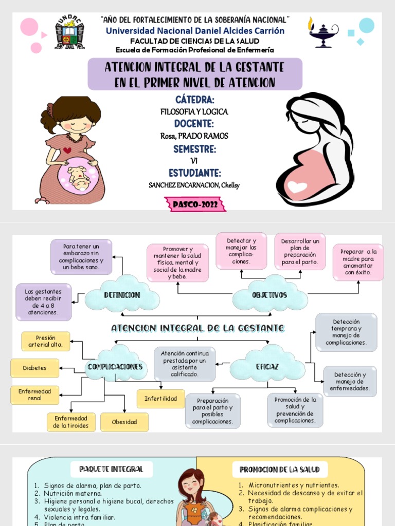Atencion Integral de La Gestante en El Primer Nivel de Atencion | PDF | Amamantamiento | Parto