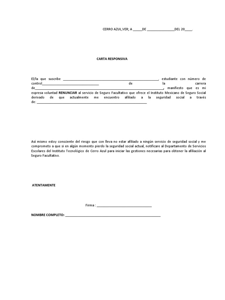 08.carta Responsiva Del IMSS | PDF