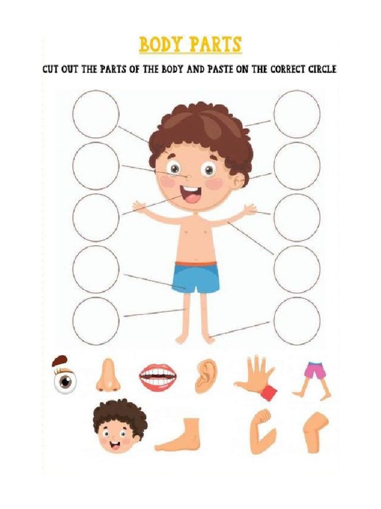 He Rosa Basic Body Parts Worksheets | PDF