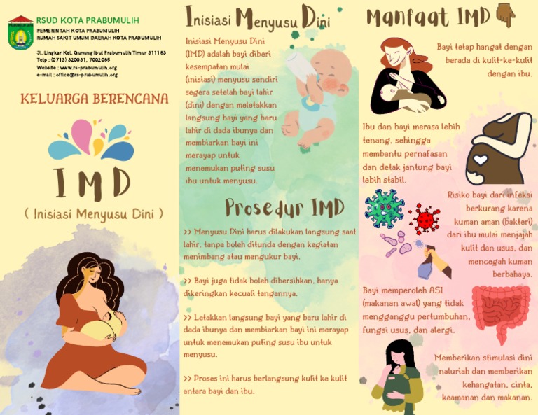 Imd - Annisa Rahmafita | PDF