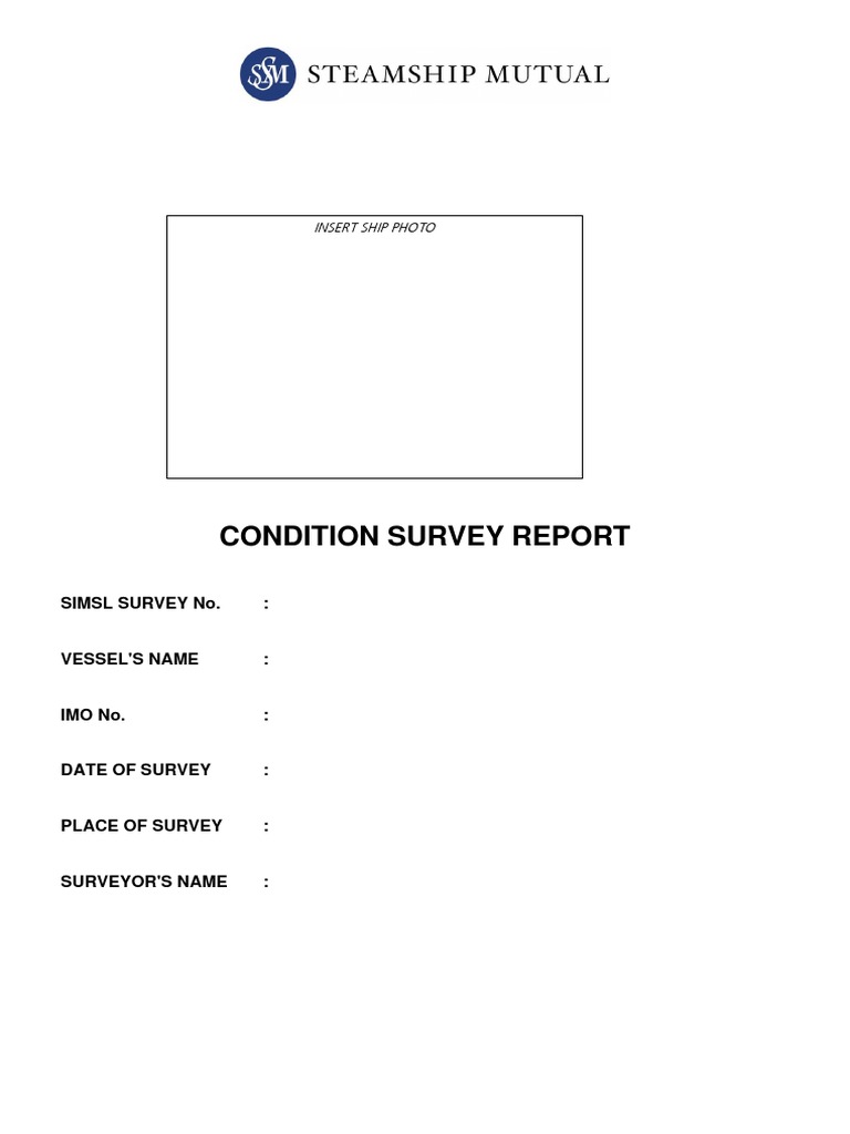 A Comprehensive Condition Survey Report of a Cargo Vessel | PDF ...