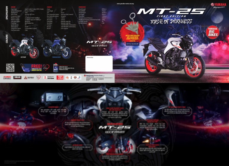 MT25 Brochure | PDF