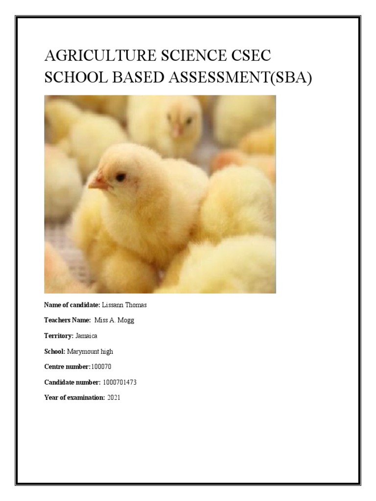 AGRICULTURE SCI-WPS Office-2 | PDF | Chicken | Birds