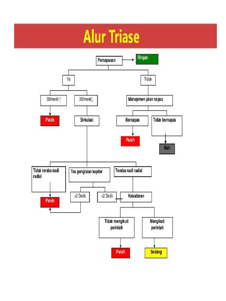 Alur Triase | PDF