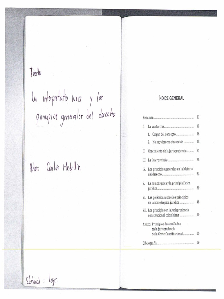 La Interpretatio Iuris de Carlos Medellin Edit Legis (4005) | PDF