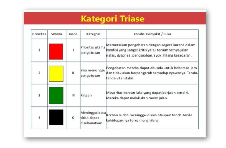 Warna Triase | PDF
