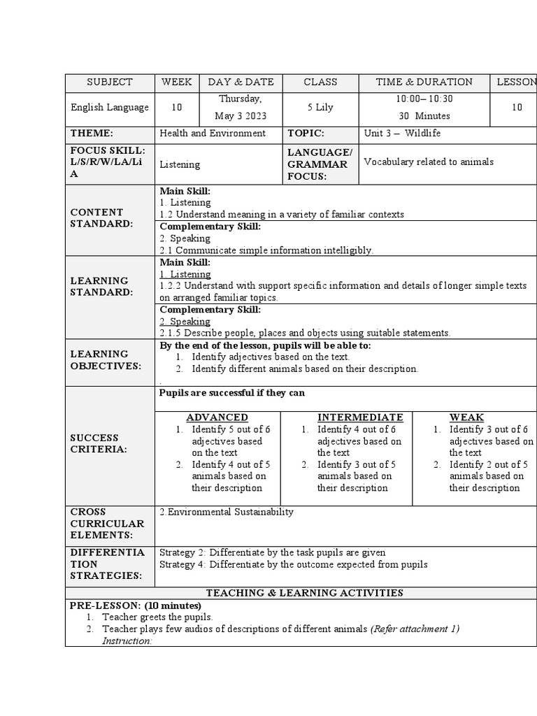 Lesson Plan Diba Critical Analysis | PDF | Teachers | Lesson Plan
