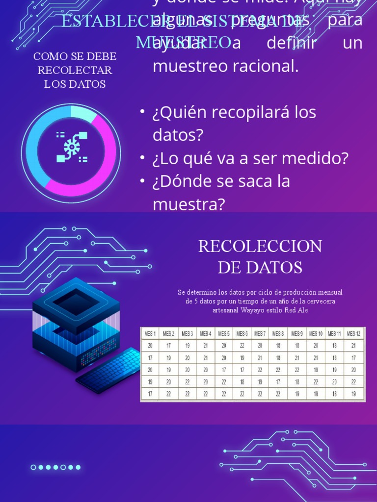 Sistema de Muestreo | PDF