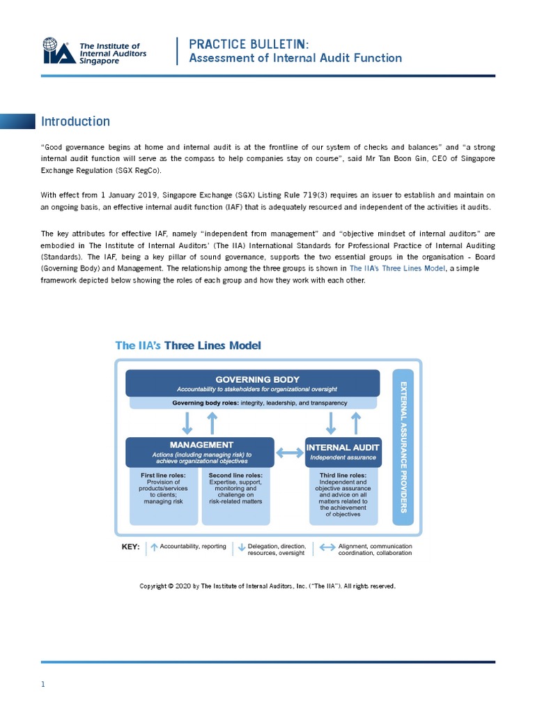 Practice Bulletin - Assessment of Internal Audit Function | PDF ...