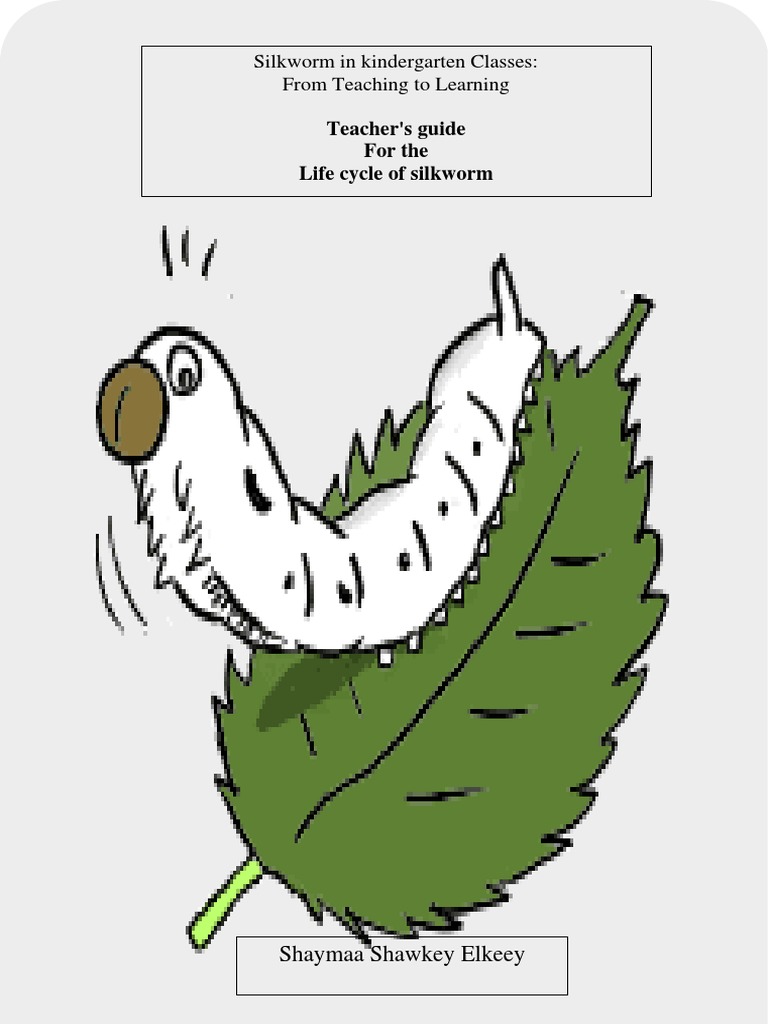 Silkworm in Kindergarten Classes From Teaching To Learning | PDF | Pupa