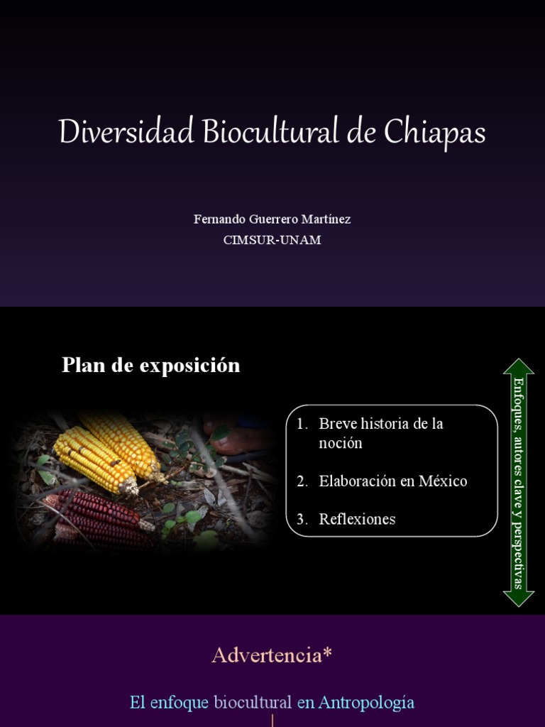 Diversidad Biocultural De Chiapas Pdf Biodiversidad Antropología