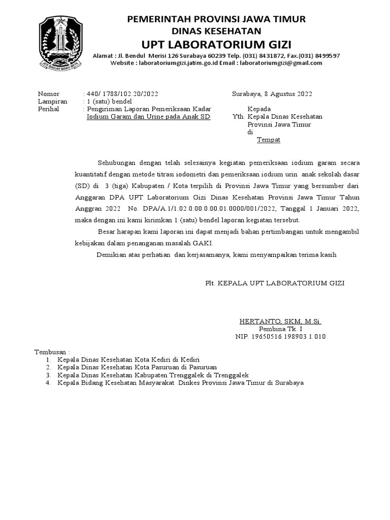 Laporan Pemeriksaan Iodium Garam dan Urine | PDF | Kesehatan Holistik