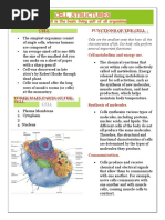 Name: Virtual Microscope by BIONETWORK: Online Edition | PDF | Optical ...