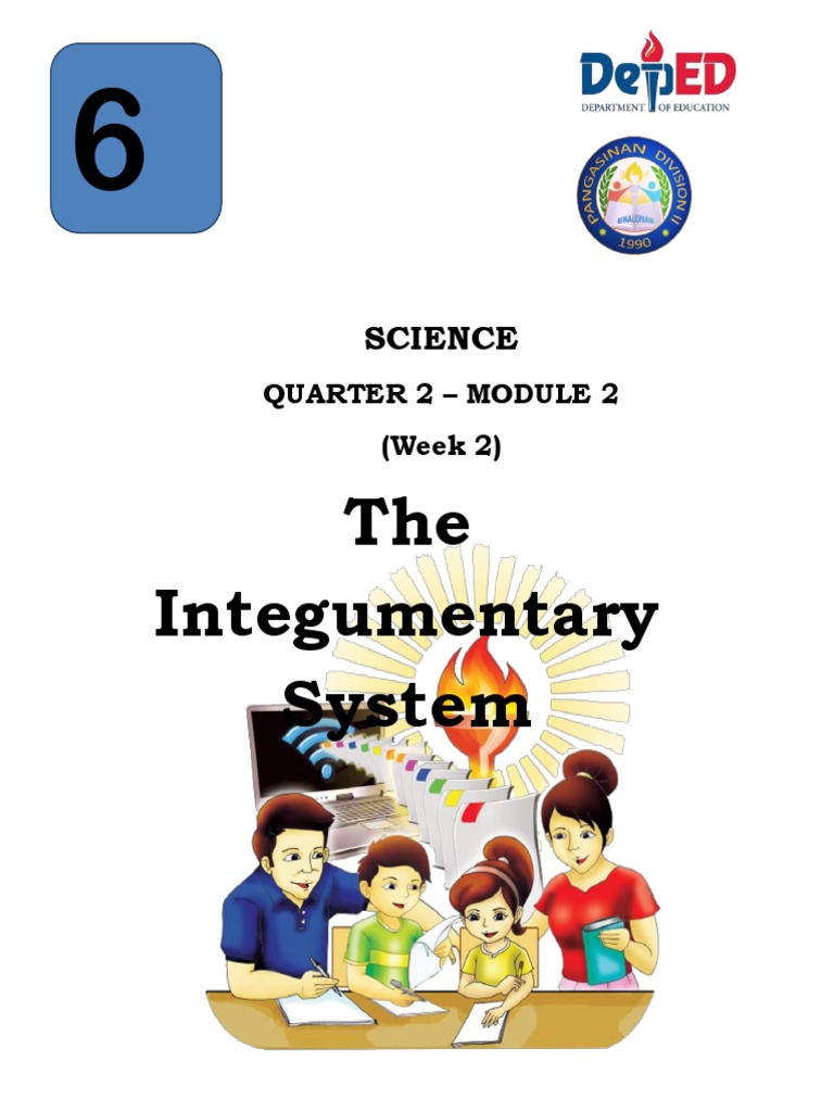 Science6 Q2 W2 1 | PDF | Skin | Integumentary System