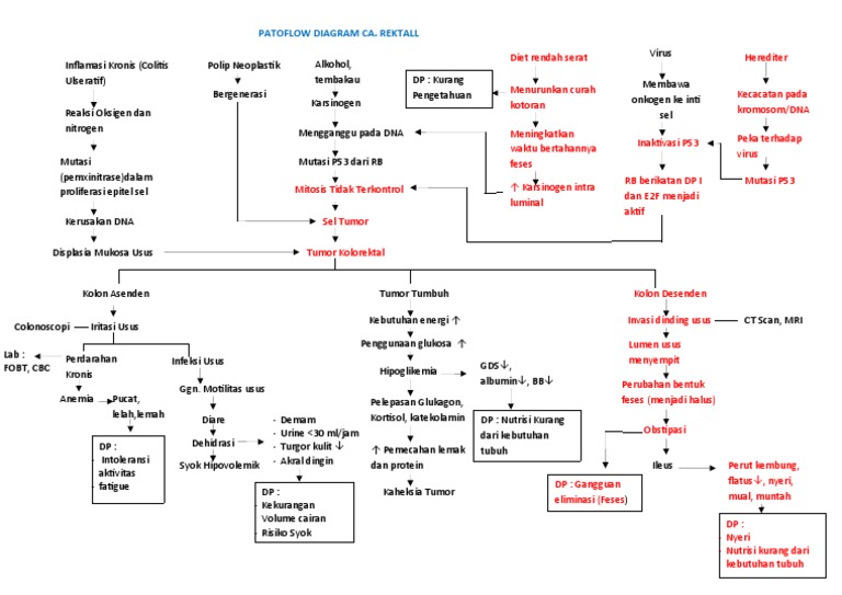 Patoflowdiagram Kanker Kolorektal New | PDF