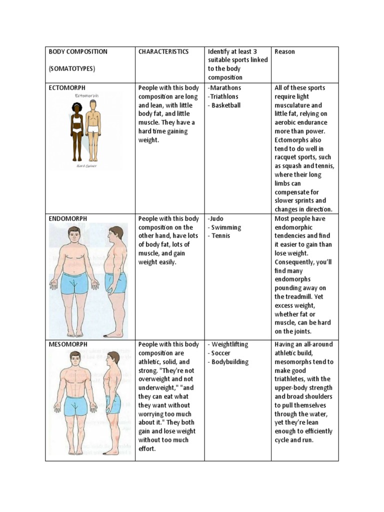 Identify Sports for Body Types | PDF | Skeletal Muscle | Weight Training