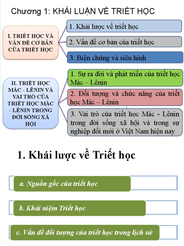 ChÆ°Æ¡ng 1 TH Vã Vai Trã Cá A TH Trong Ä SXH | PDF