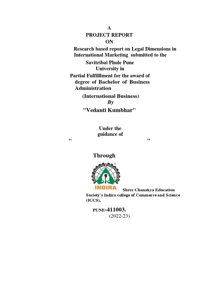 Ldim Project Final | PDF | Market Segmentation | Taxes