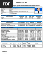 CV Template For Seafarers 1 | PDF | Recruitment