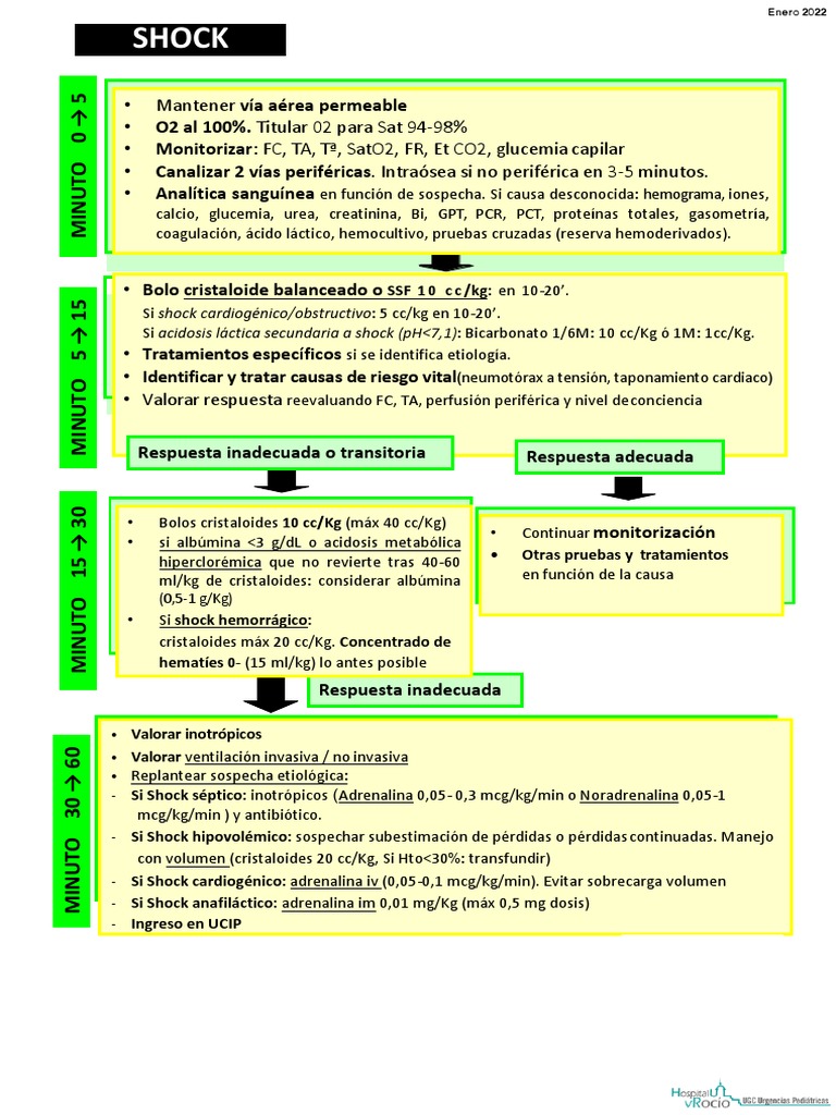 Shock 2022 | PDF | Epidemiología | Causas de la muerte
