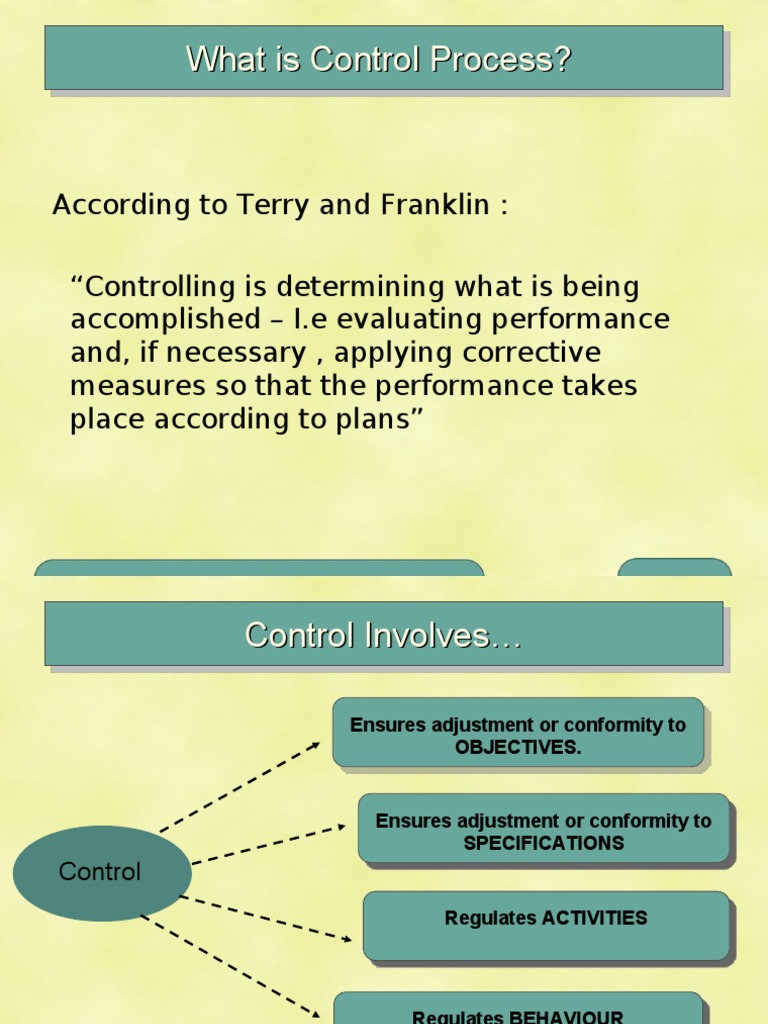 What Is Control Process? | PDF | Control System | Strategic Planning