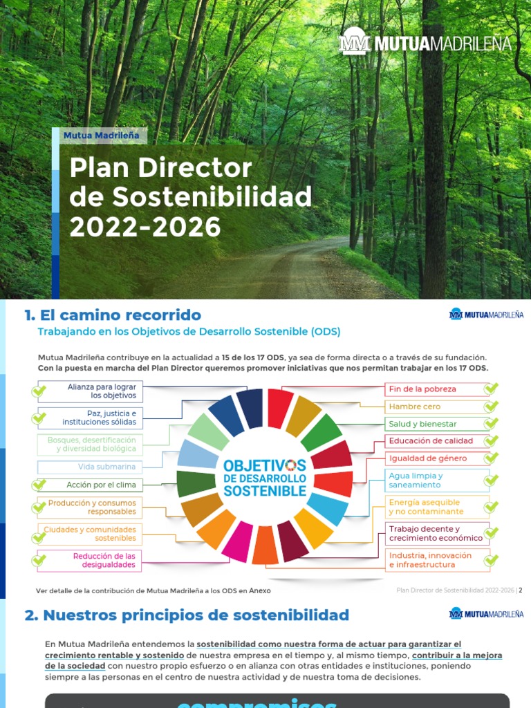 Paln Director Sostenibilidad | PDF | Sustentabilidad | Economias
