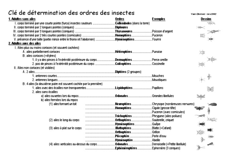 Classification des insectes par ordres | PDF | Insectes | Hexapodes