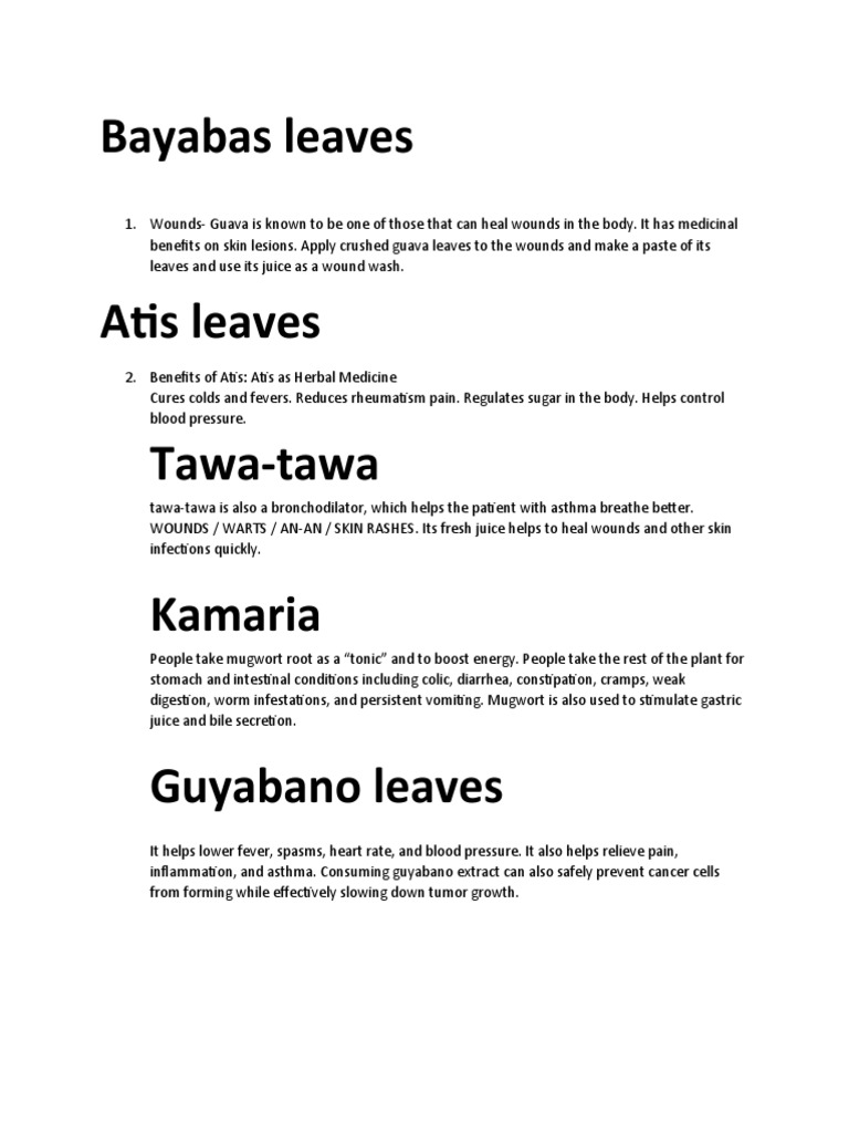 Benefits of Talbos ng Bayabas | PDF | Cooking, Food & Wine | Wellness