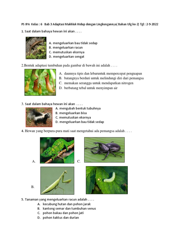 PS IPA Kelas 6 Bab 3 THN 2022 | PDF | Seni & Disiplin Bahasa | Sains ...