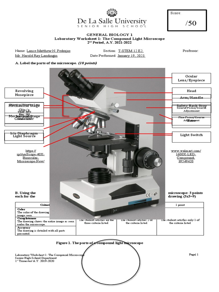 Microscope Parts and Functions Worksheet | PDF | Microscope | Materials ...