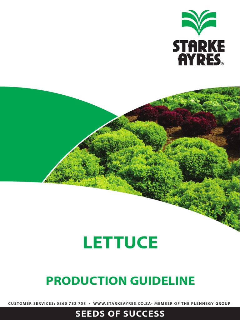 Lettuce Production Guidelines | PDF | Lettuce | Seed