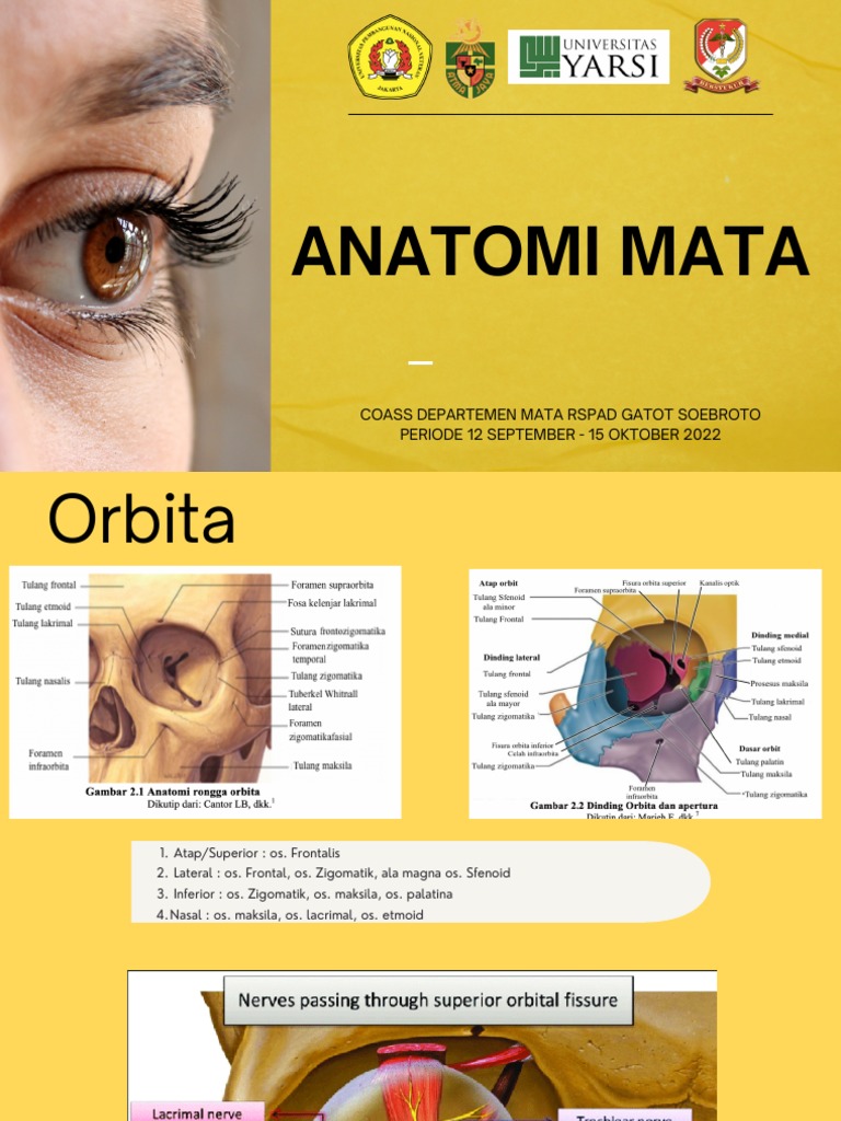 Anatomi Mata-1 | PDF
