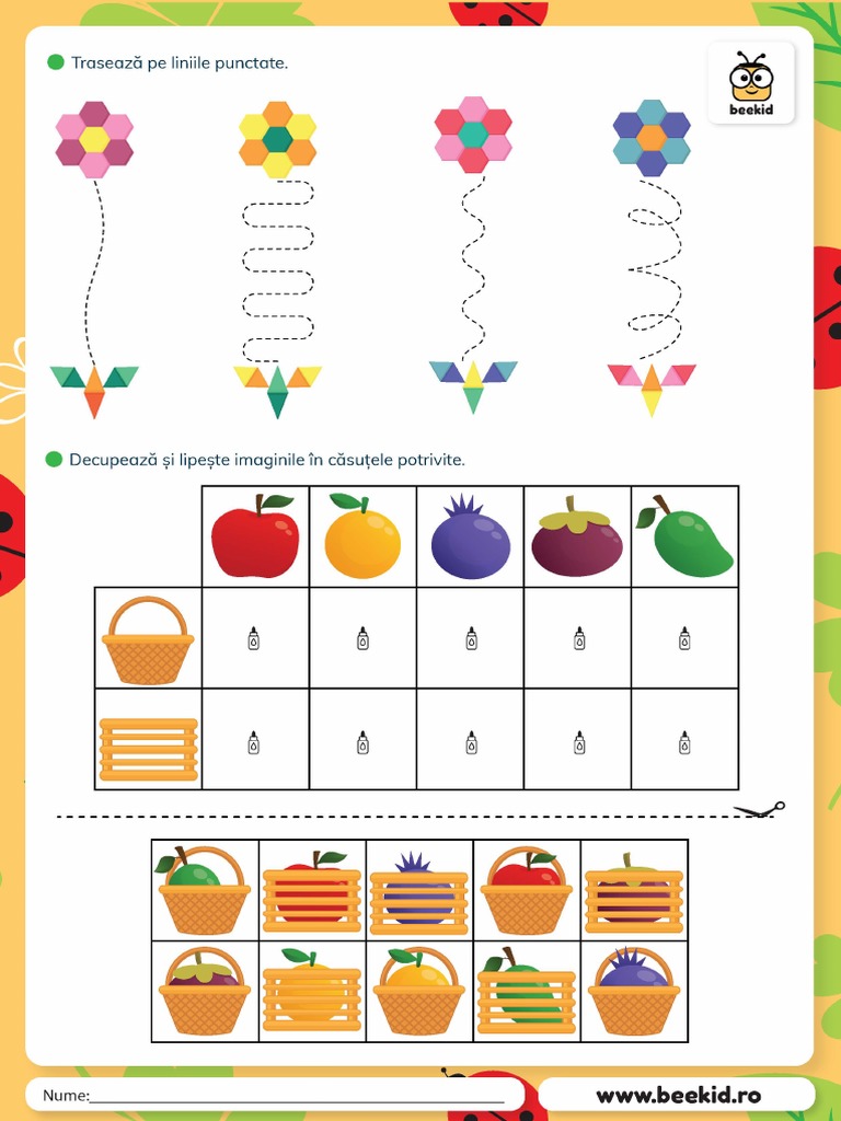 Fisa 9 Gradinita | PDF