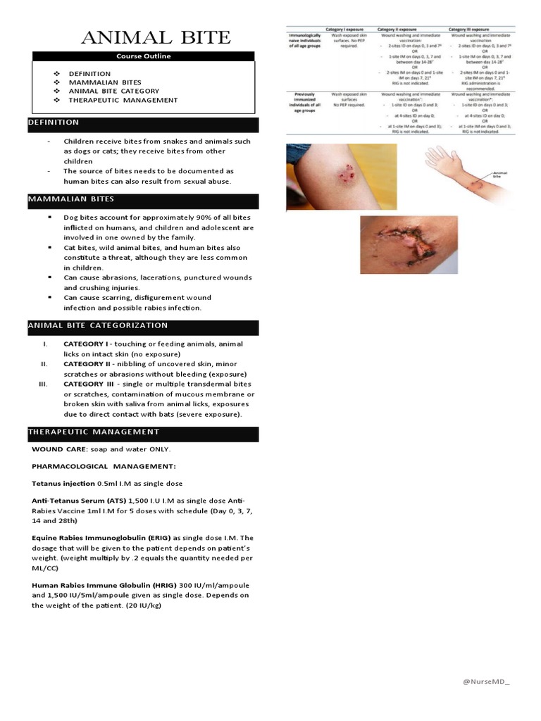 Animal Bite | PDF
