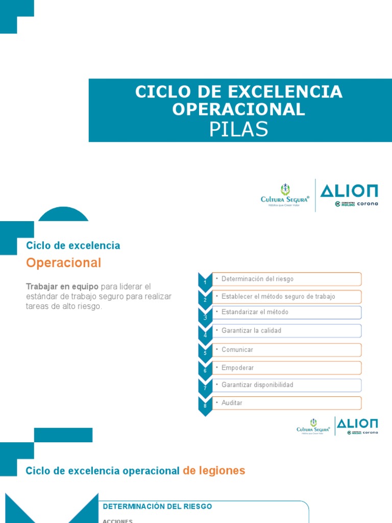 Ciclo de Excelencia Operacional 8 Pasos | PDF | Business