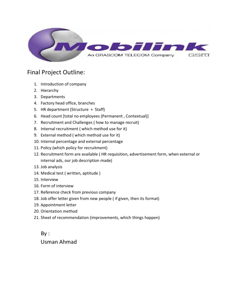 Final Project Outline Guide | PDF | Career & Growth | Finance & Money ...
