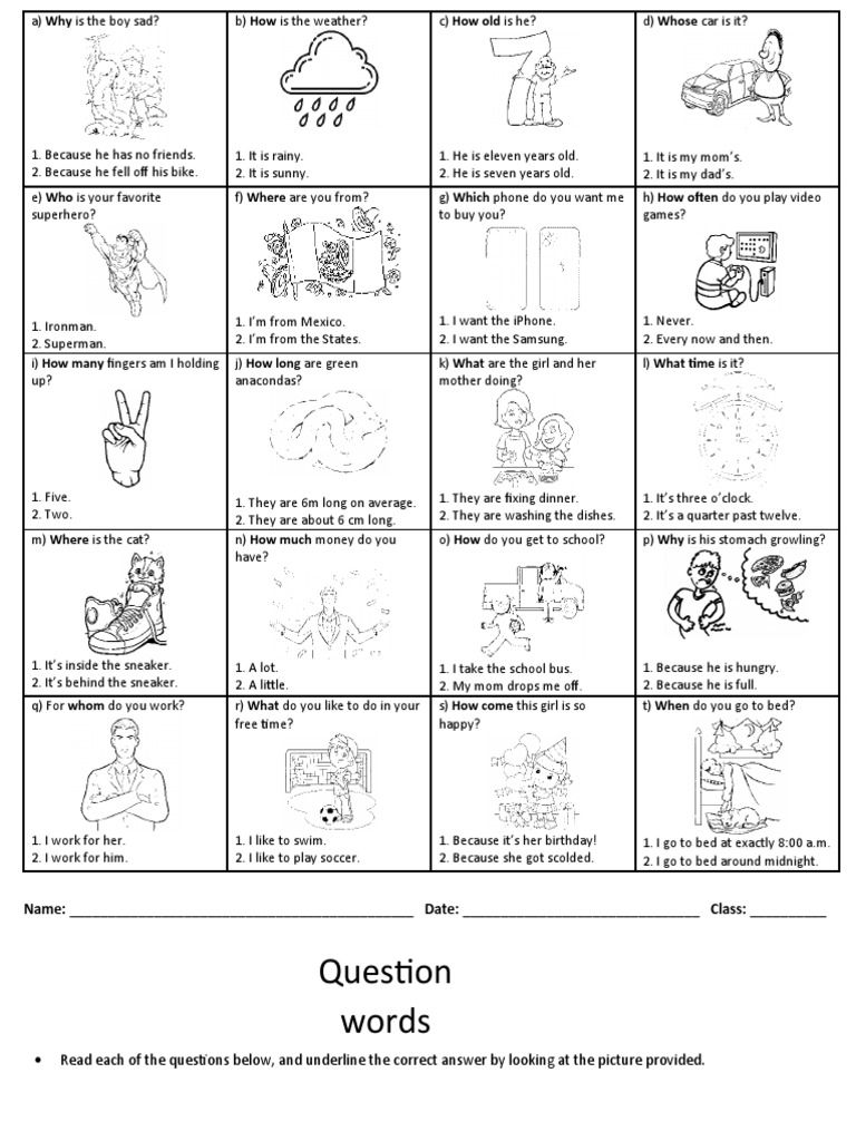 Question Words Reading Comprehension Exercises 145926 | PDF