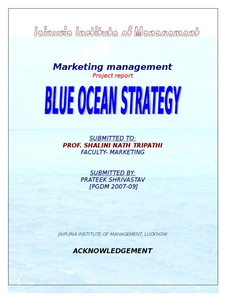 Blue Ocean Strategy | PDF
