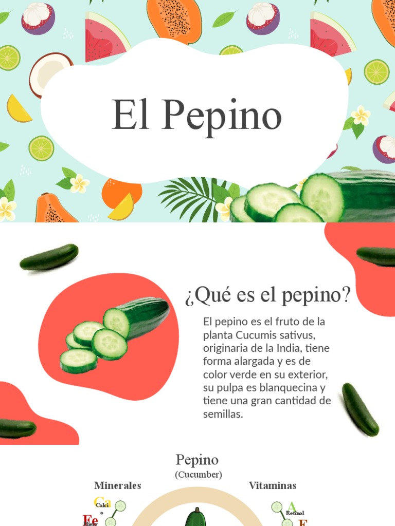 Exposición Del Pepino | PDF | Pepino | Nutrición