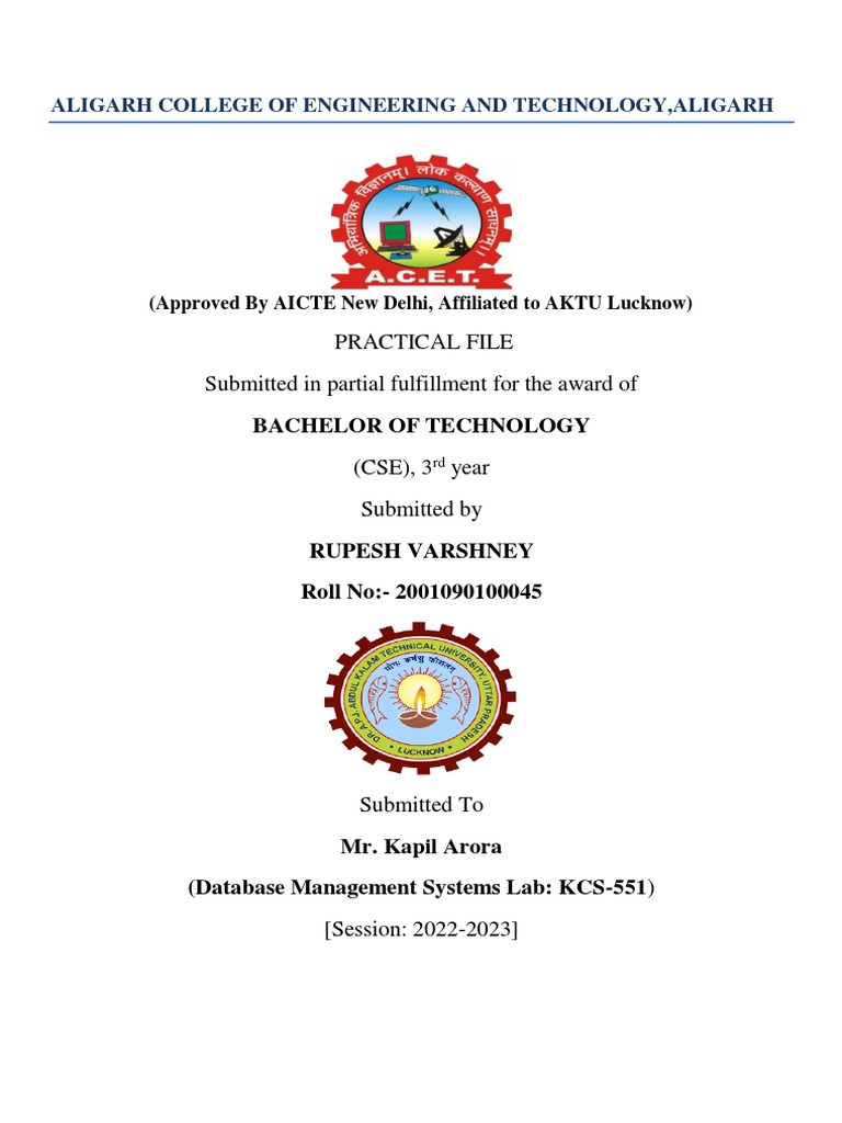 Dbms Final | PDF | Salary | Programmer