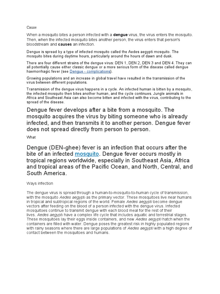 Dengue Project | PDF