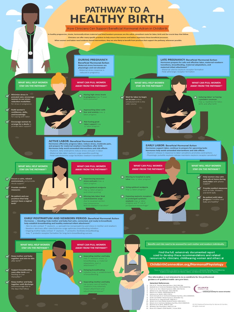 Pathway To A Healthy Birth For Clinicians Poster Full Bleed | PDF ...