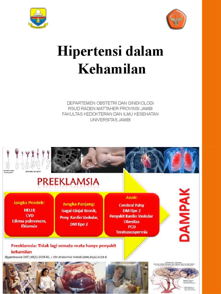 Hipertensi Dalam Kehamilan | PDF